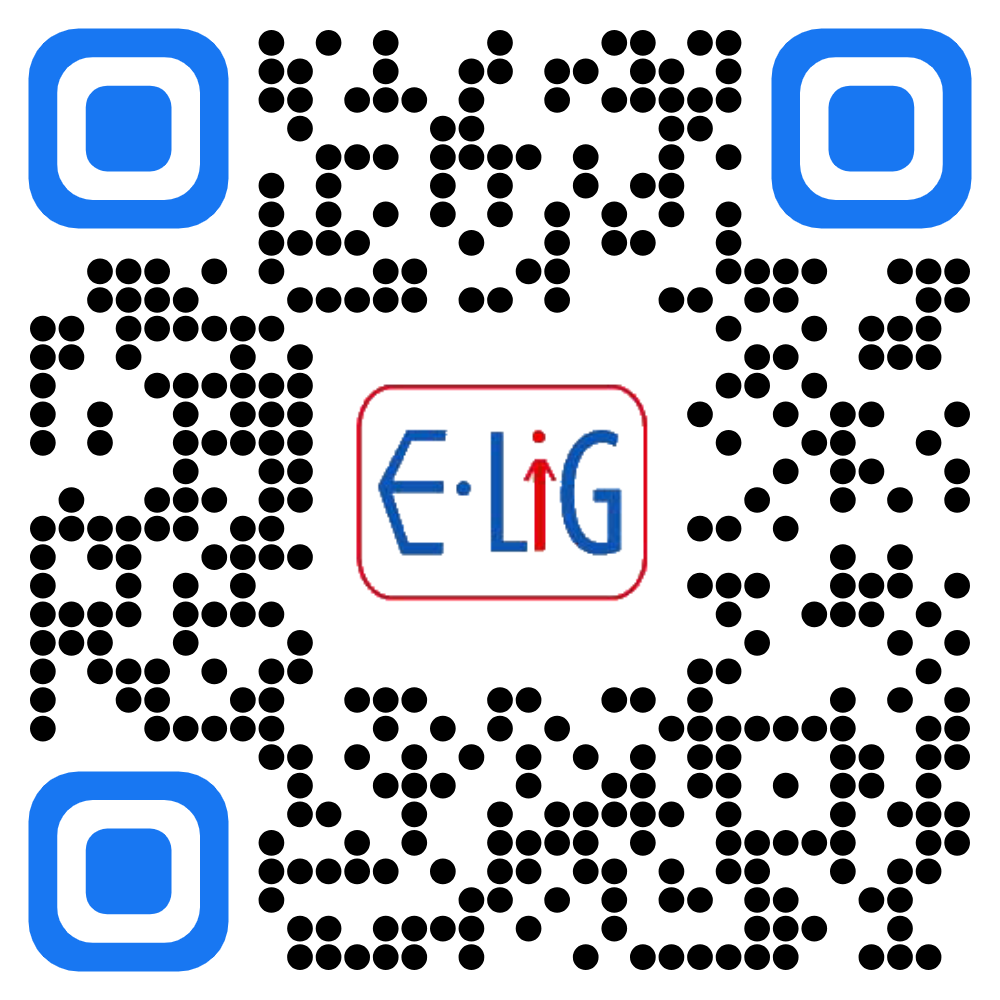 Ethio Life & General Insurance S.C. (e-lig)